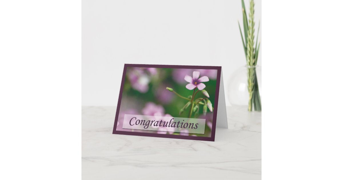 Congratulations - Pink Wood Sorrel Greeting Card | Zazzle