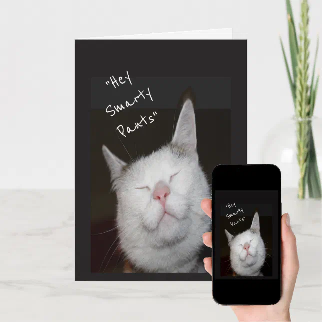 Congratulations Promotion Humor Kitten Animal Card | Zazzle