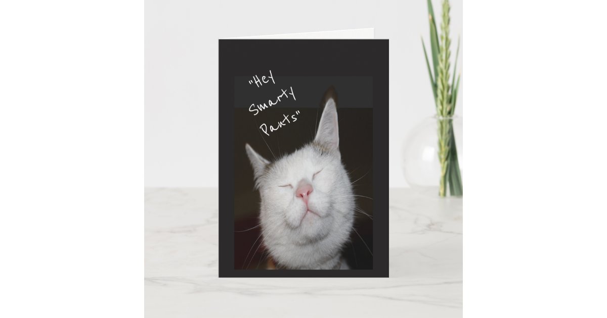 Congratulations Promotion Humor Kitten Animal Card | Zazzle