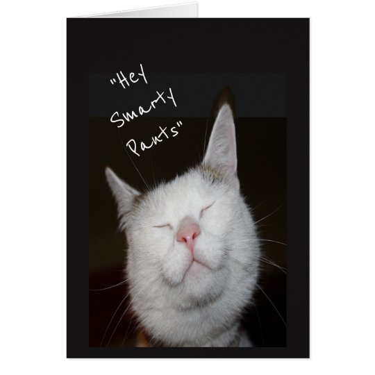 Congratulations Promotion Humor Kitten Animal Card | Zazzle.com