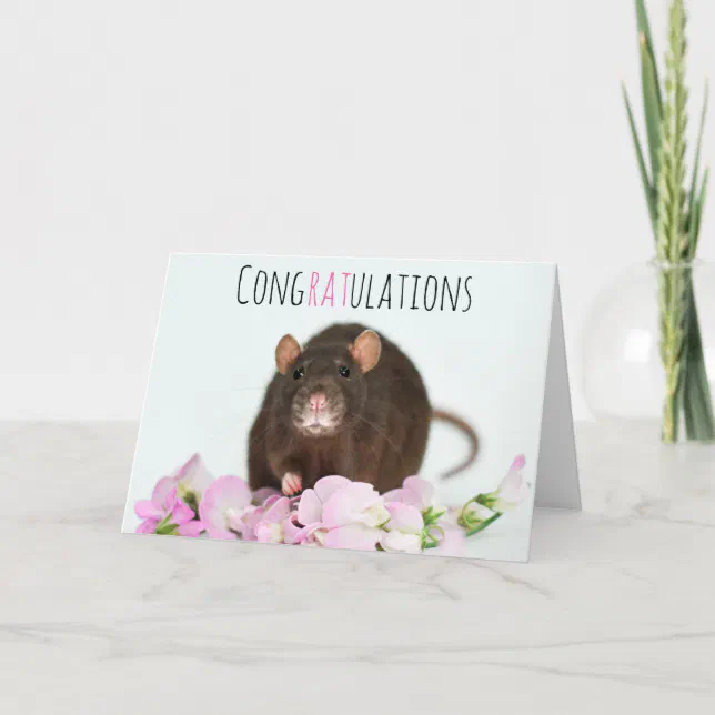 Congratulations Rat Card | Zazzle