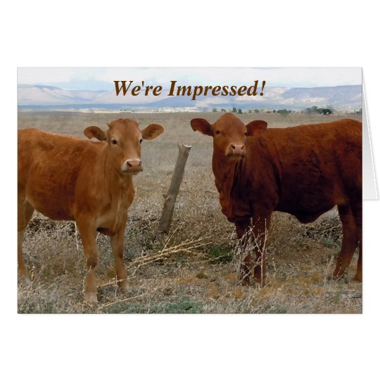 Congratulations - Red Cow Animal Humor - Ranch Card | Zazzle.com
