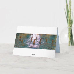 Congratulations Synchronized Swimming Blue Card | Zazzle