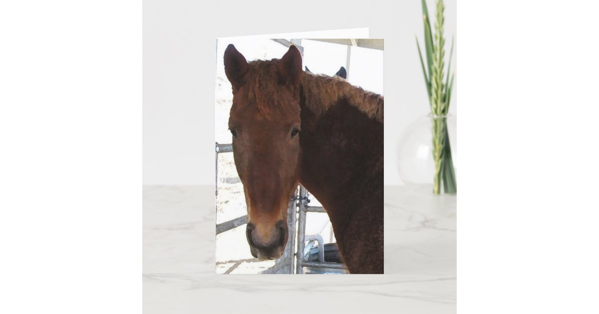 Congratulations - TWH Walking Horse - Western Card | Zazzle