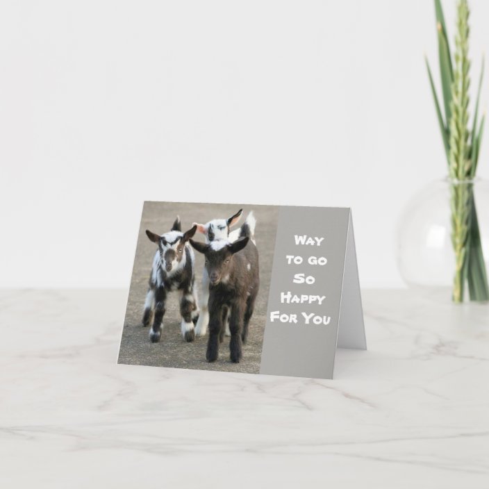 "CONGRATULATIONS" ****WAY TO GO**** CARD | Zazzle.com