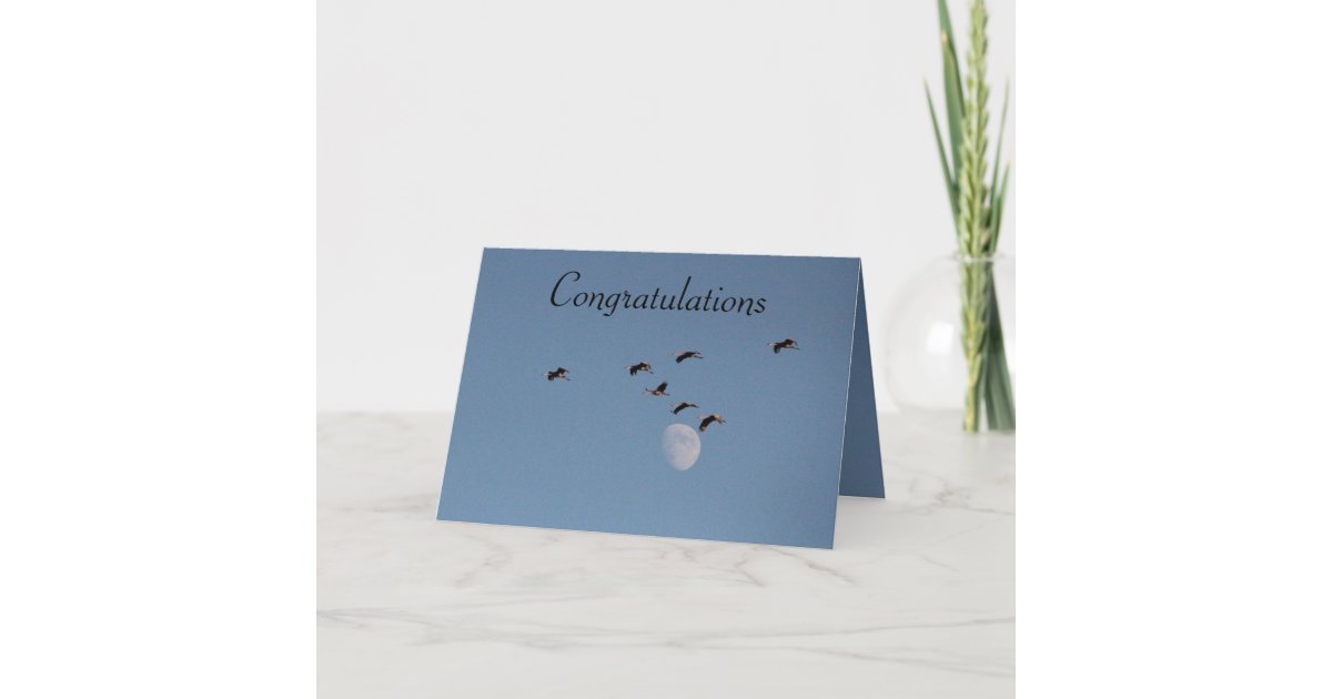 Congratulations Welcome To The Team Card | Zazzle