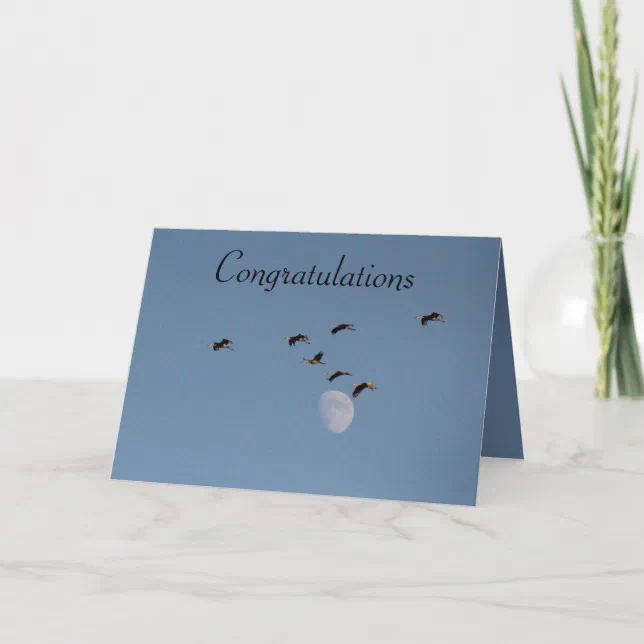 Congratulations Welcome To The Team Card | Zazzle