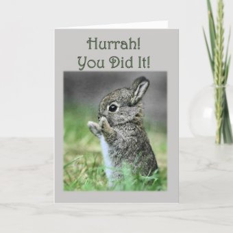 Congratulations You Graduated Baby Bunny Card | Zazzle