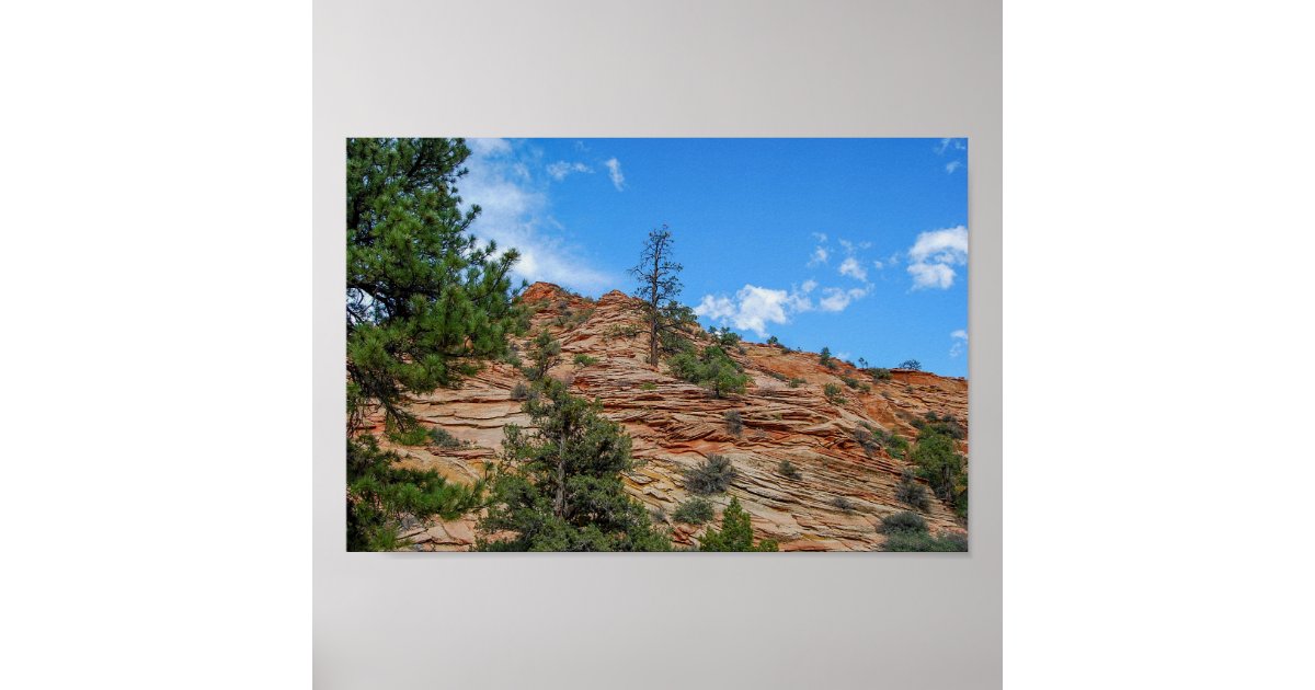 Conifer Trees Growing in Zion National Park, Utah Poster | Zazzle