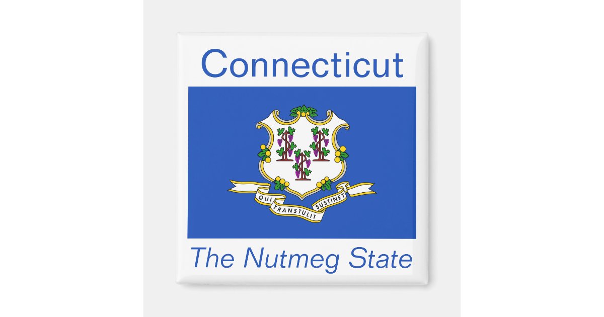 Connecticut Flag Magnet | Zazzle