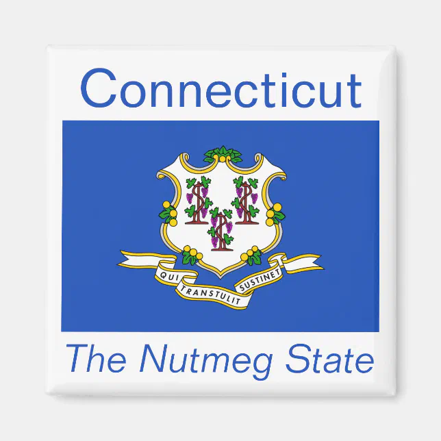 Connecticut Flag Magnet | Zazzle