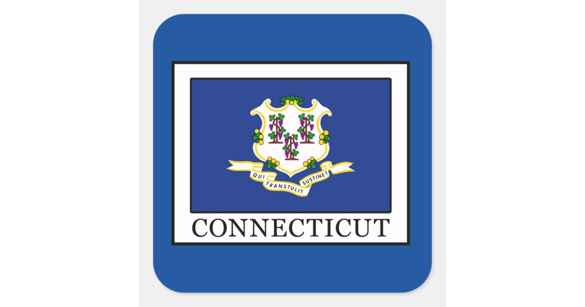 Connecticut Square Sticker | Zazzle