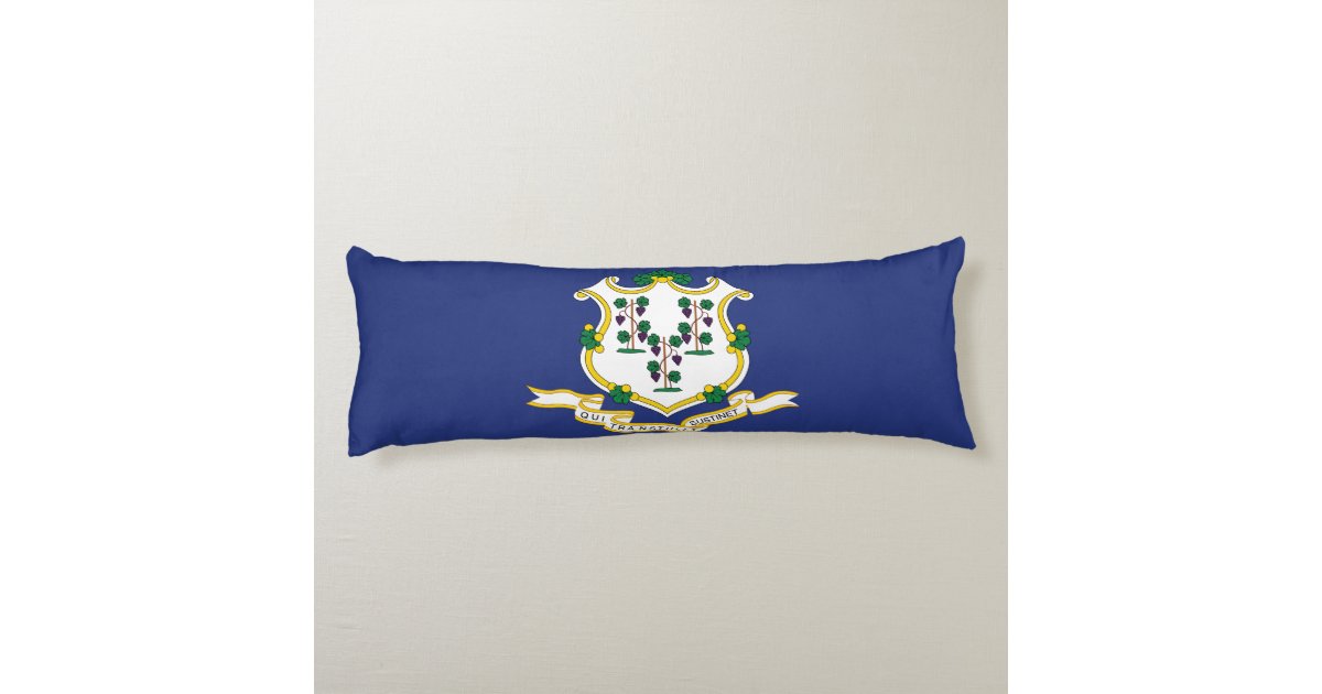 Connecticut State Flag Body Pillow | Zazzle