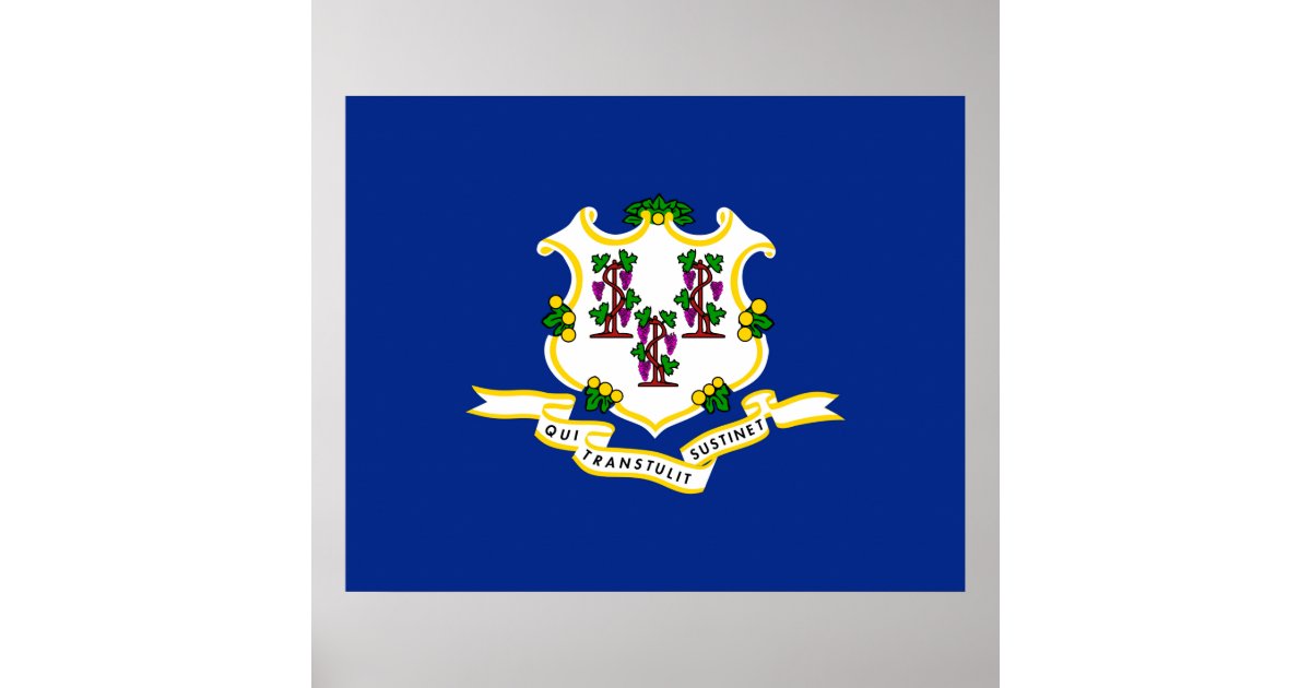 Connecticut State Flag Design Poster | Zazzle
