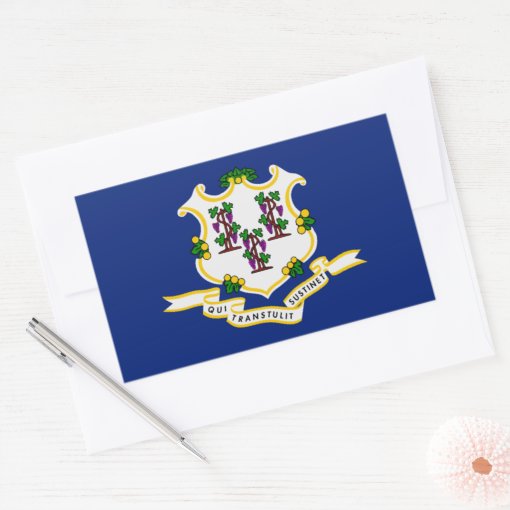 Connecticut State Flag Sticker | Zazzle