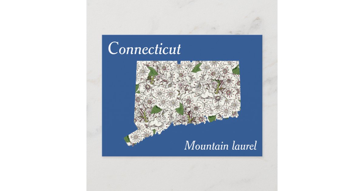 Connecticut State Flower Collage Map Postcard | Zazzle