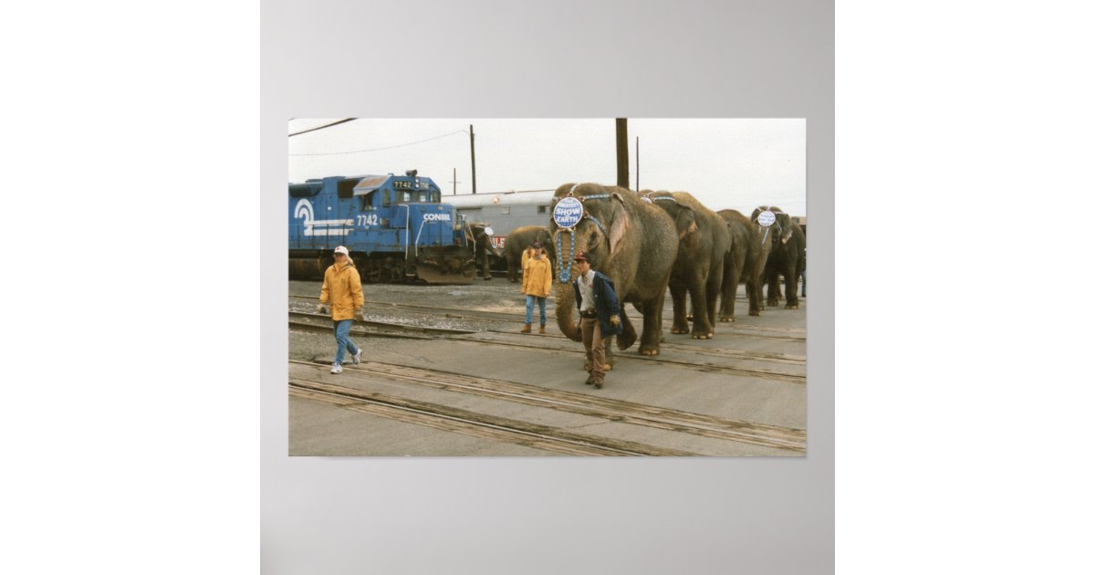 Conrail Elephants on The March Poster | Zazzle