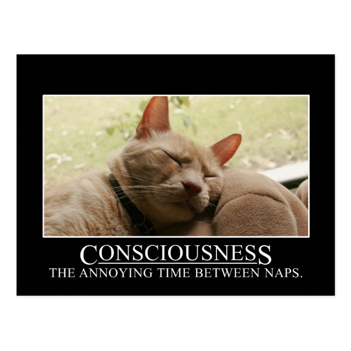 Consciousness: the annoying time between naps postcard | Zazzle.com