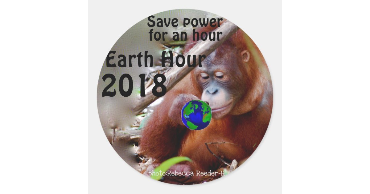 Conservation Earth Hour Classic Round Sticker | Zazzle