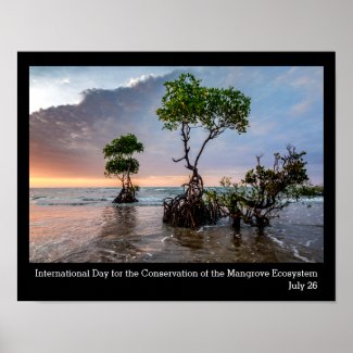 July 26: International Day for the Conservation of the Mangrove ...
