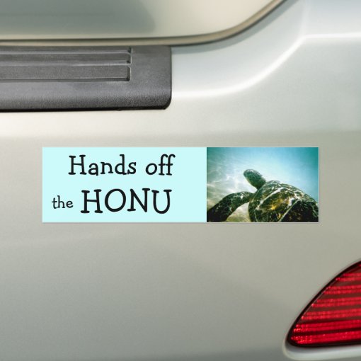 Conservation: Save the Sea Turtle Bumper Sticker | Zazzle