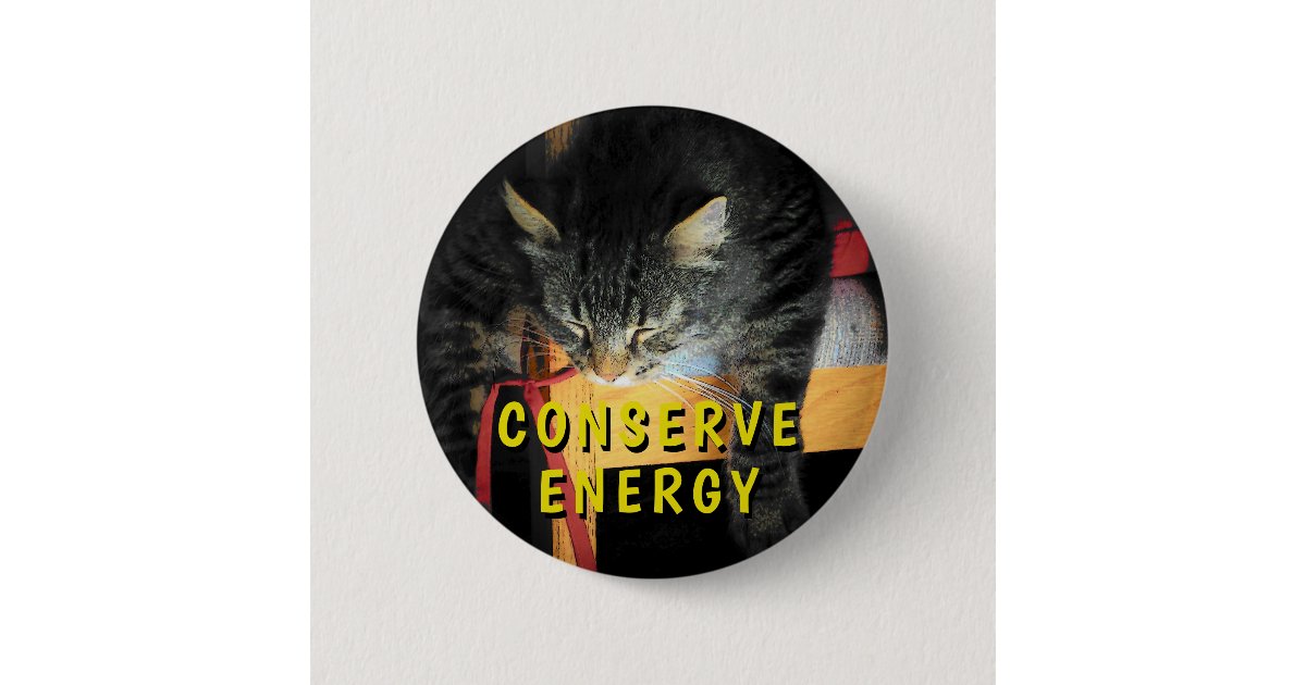 Conserve Energy the Grumpy Angel way! Meme Button | Zazzle