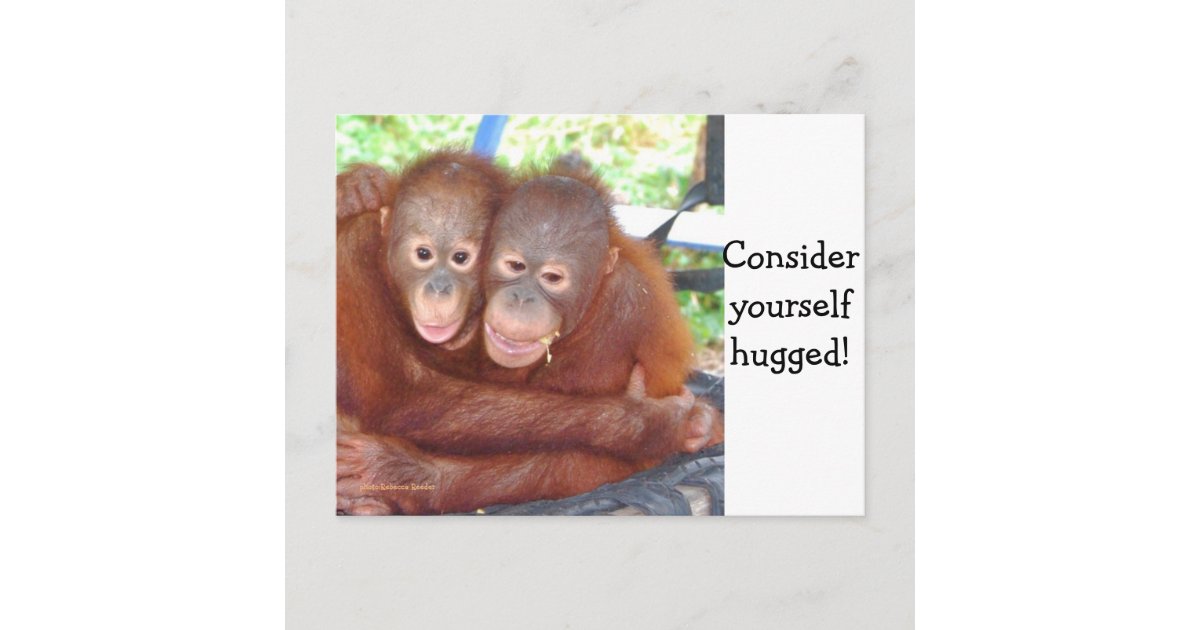 Consider Yourself Hugged Postcard | Zazzle
