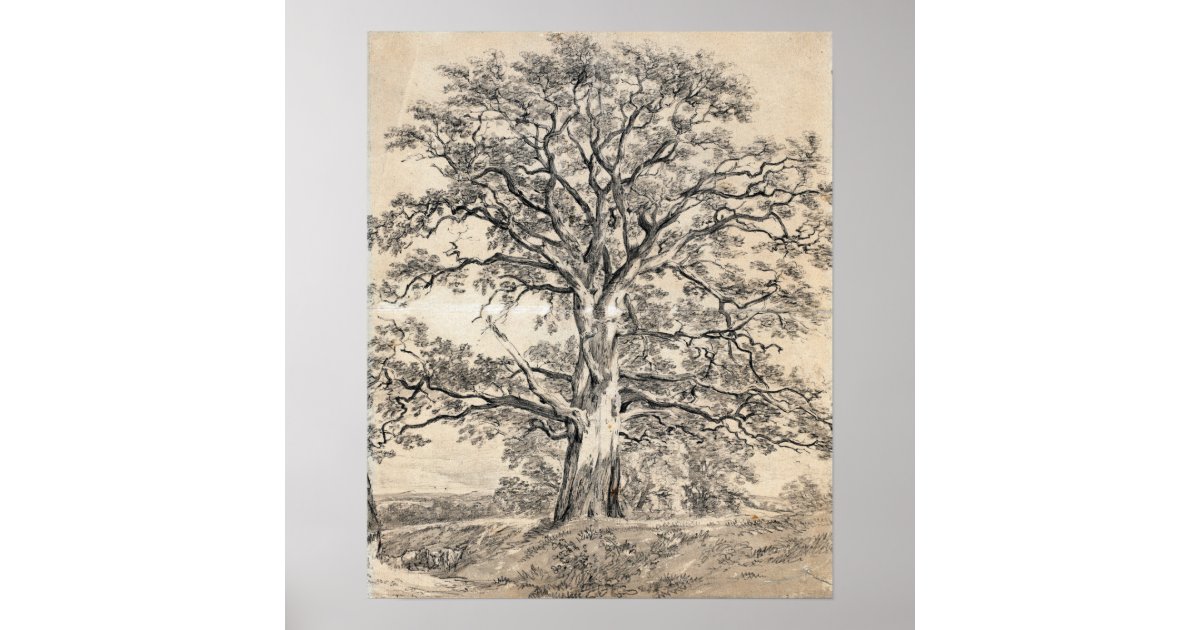 Constable - A Great Oak Tree 1801 Poster | Zazzle