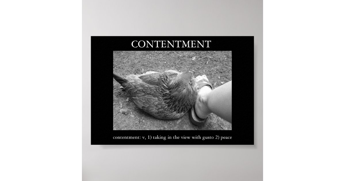 Contentment Poster | Zazzle