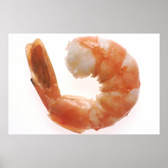 Cooked Shrimp Poster | Zazzle.com