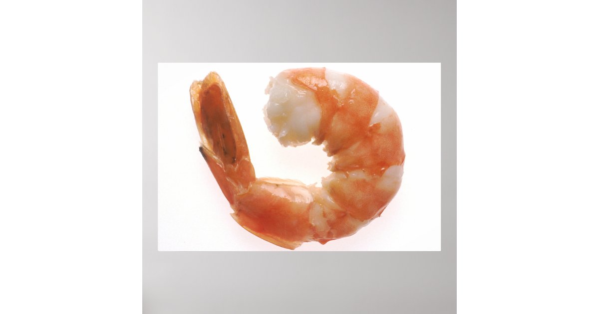 Cooked Shrimp Poster | Zazzle