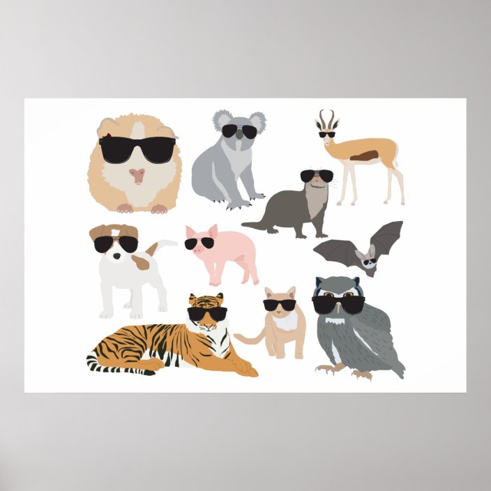 Cool and Funny Animals Wearing Sunglasses Poster | Zazzle.com