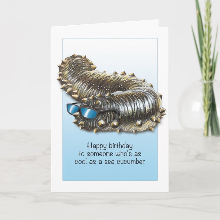 Cool as a Sea Cucumber Birthday Card | Zazzle.com