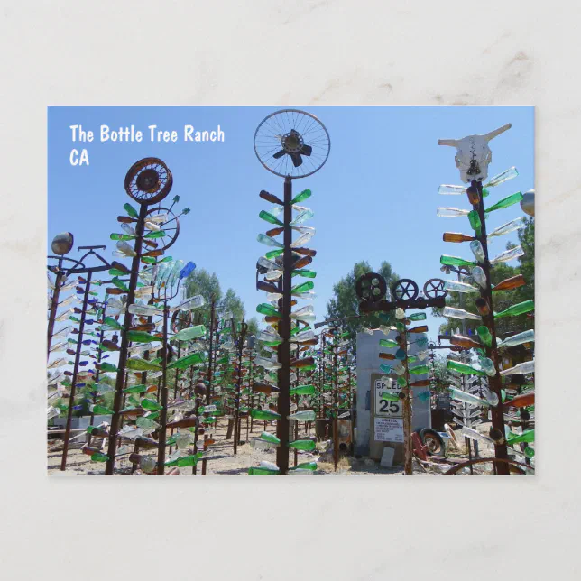 Cool Bottle Tree Ranch Postcard! Postcard | Zazzle