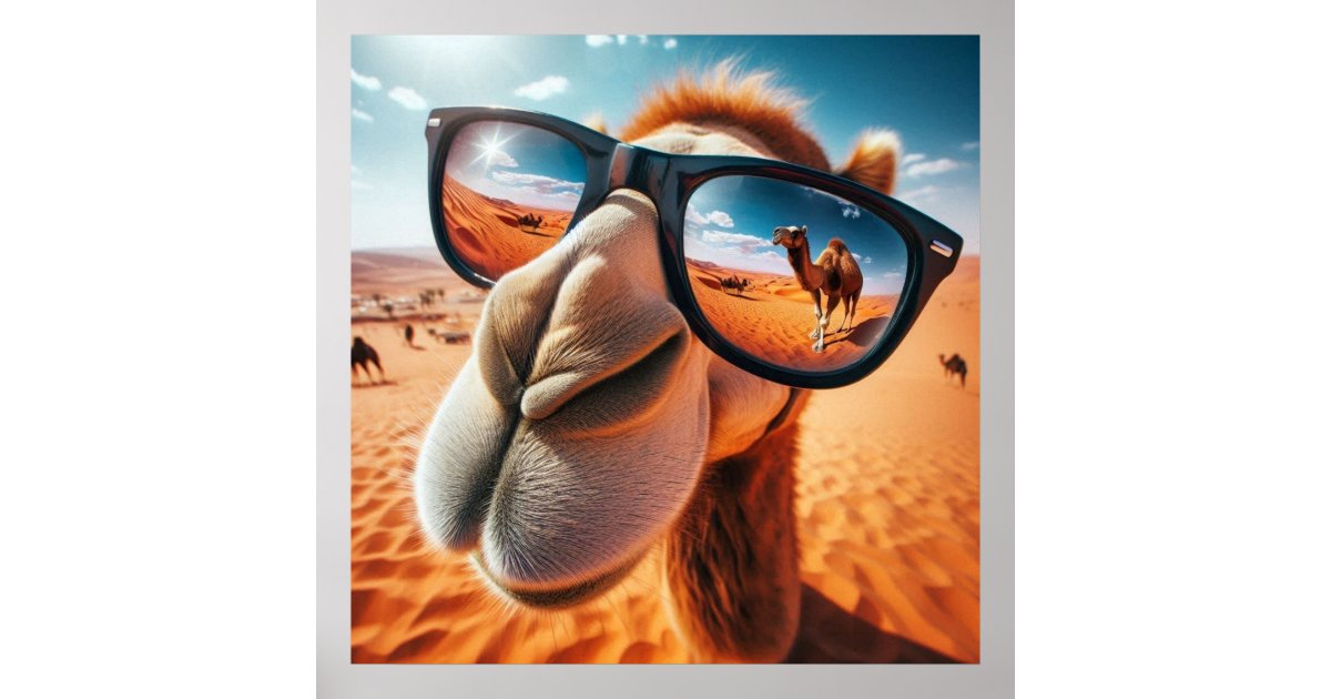 Cool Camel Poster | Zazzle