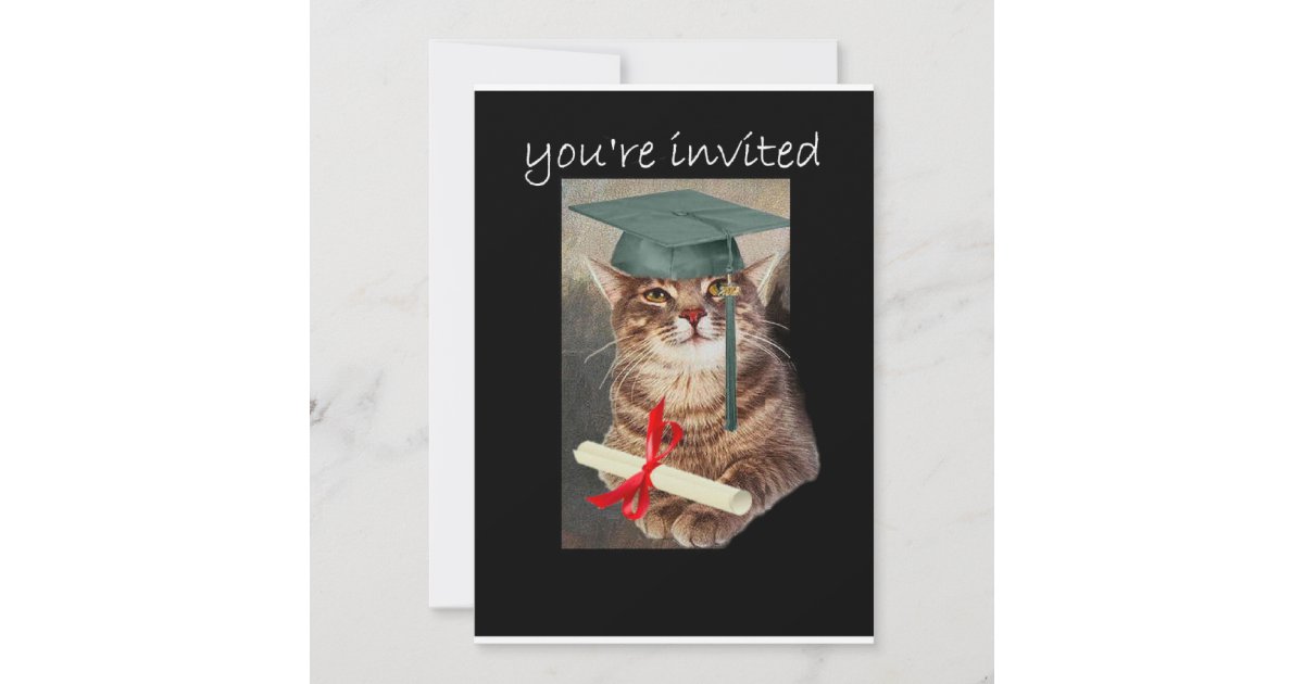 Cool Cat graduation party invitation | Zazzle