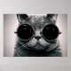 Cool Cat Poster | Zazzle
