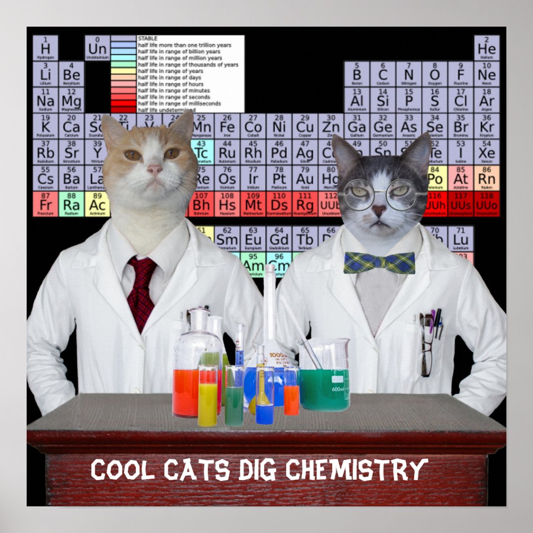 Cool Cats Dig Chemistry Poster | Zazzle