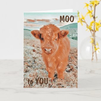 COOL COW SAY MOO TO YOU *14th BIRTHDAY* Card | Zazzle
