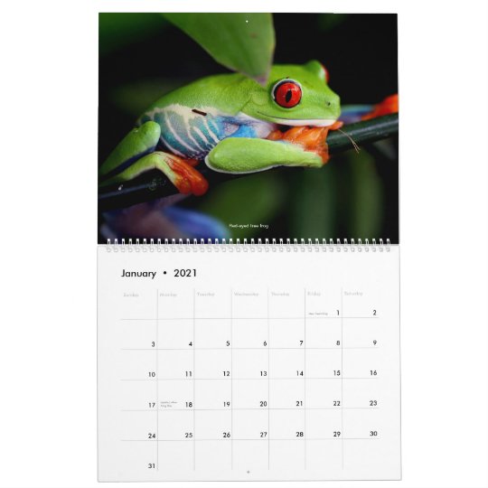 Cool Frogs Calendar | Zazzle.com