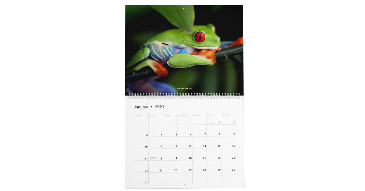 Cool Frogs Calendar | Zazzle.com