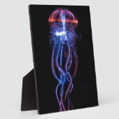 Cool Jellyfish Luminous Light Phenomeno Plaque | Zazzle