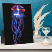 Cool Jellyfish Luminous Light Phenomeno Plaque | Zazzle