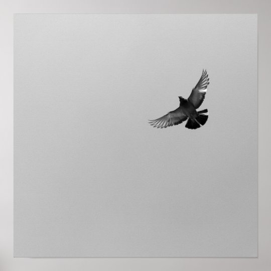 Cool Modern B&W flying bird simple modern design Poster | Zazzle.com