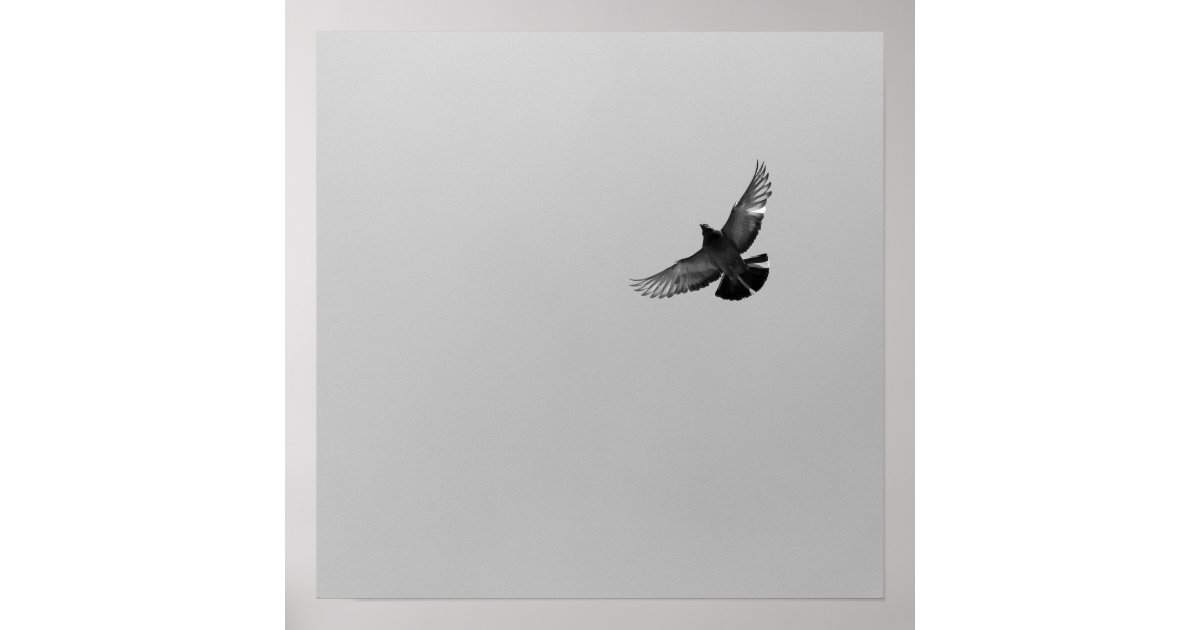 Cool Modern B&W flying bird simple modern design Poster | Zazzle
