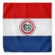 Cool Paraguay Flag Fashion Bandana | Zazzle