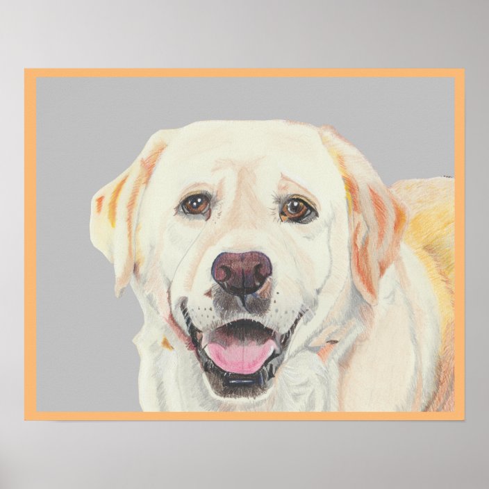 Cool Pastel Drawing Yellow Lab Poster | Zazzle.com