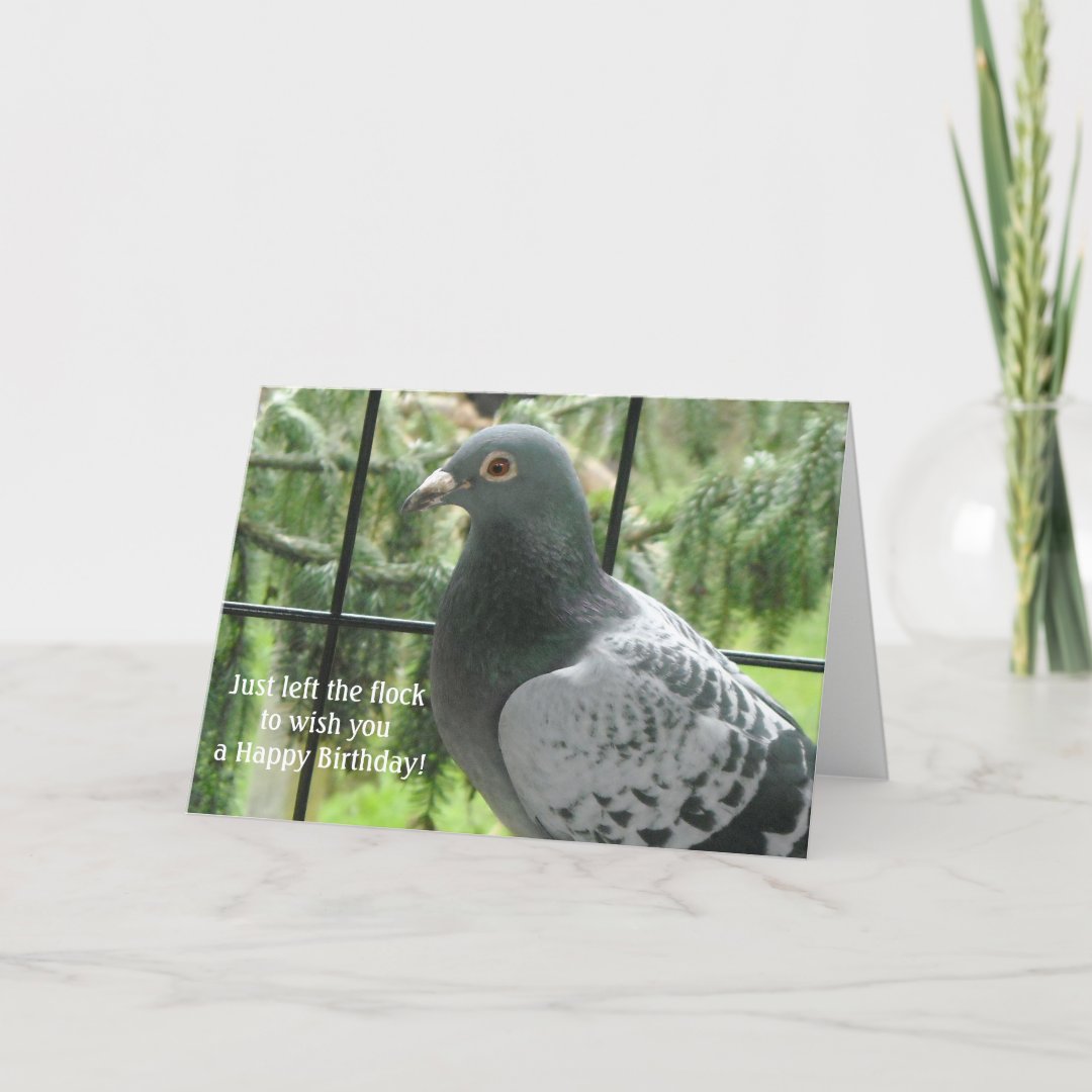 Cool Pigeon Birthday Card | Zazzle
