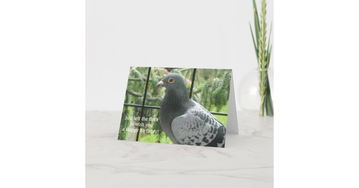 Cool Pigeon Birthday Card | Zazzle