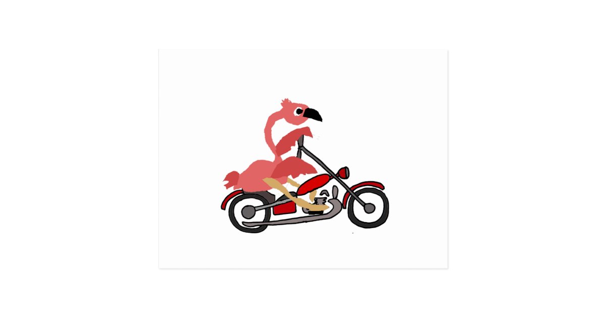Cool Pink Flamingo Riding Motorcycle Cartoon Postcard | Zazzle.com